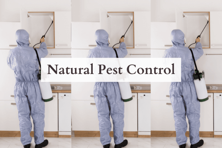 14 Natural Pest Control Remedies - In On Around
