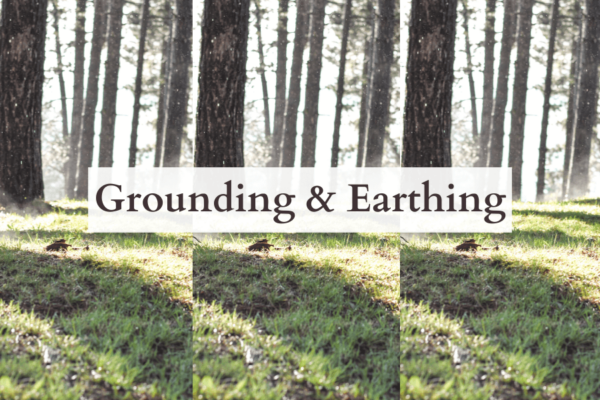 Grounding To The Earth (Earthing) – Techniques & Benefits – In On Around
