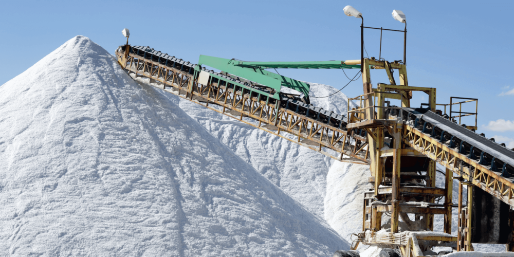 What Are The Healthiest Salt Brands? Minerals In Salt 101 - In On Around
