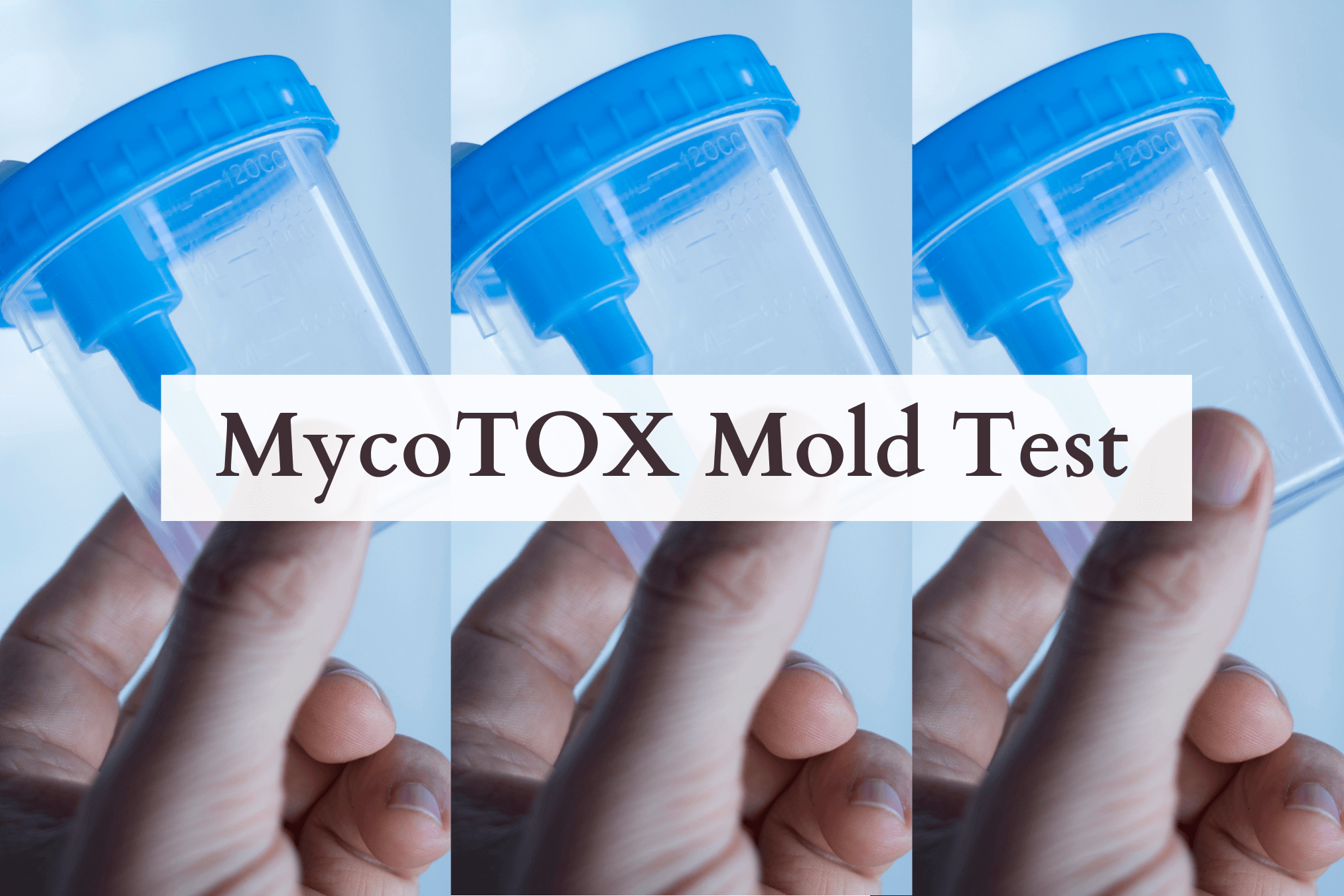 Mycotoxin Testing from Mold Exposure - MycoTOX Profile - In On Around
