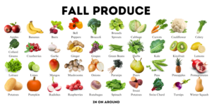 A Simple Guide to Seasonal Foods and Seasonal Eating – In On Around