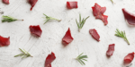 Healthy Meat Snacks - Meat Sticks and Beef Jerky Without Nitrates
